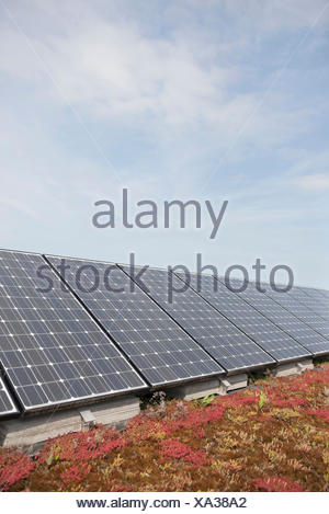 Solar panel of concentrator photovoltaic cells - efficient Stock Photo ...