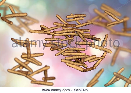 Mycobacterium avium, computer illustration. This rod-shaped bacterium ...
