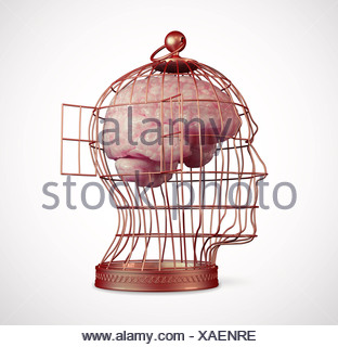 Caged brain, artwork Stock Photo: 55701901 - Alamy
