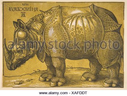 THE RHINOCEROS, Woodcut by Albrecht Durer, (1471-1528), drawn from ...