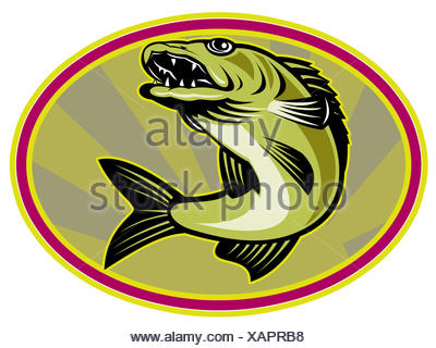 Walleye Fish Jumping Isolated Retro Stock Vector Art & Illustration ...