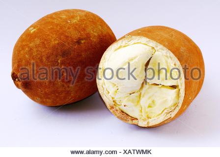 Close-up of a Cupuacu (Theobroma grandiflorum) "Cupuaçu" fresh fruit on ...