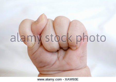 An infant fist Stock Photo: 21799254 - Alamy