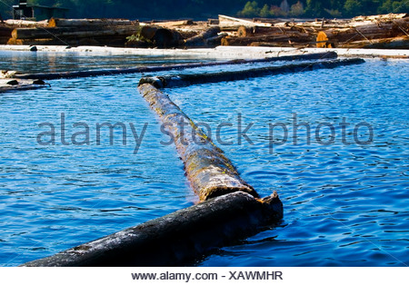 Logs floating in water Stock Photo - Alamy
