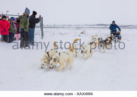 Elementary school children ride a sled pulled by sled dogs around the ...