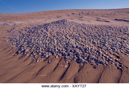 An ancient Aboriginal shell midden on a mobile coastal sand dune Stock ...
