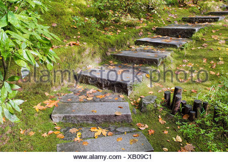 Asian Inspired Garden Granite Slabs Stone Steps with Moss and Fall ...