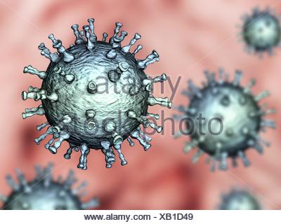 Computer illustration of a varicella zoster virus particle, the cause ...
