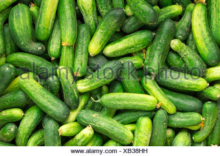 Pickles as background. Green pickle texture pattern. Pickled cucumber ...