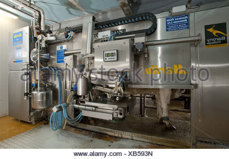 Fullwood Merlin automatic cow milk parlour robotic farm farms farming ...