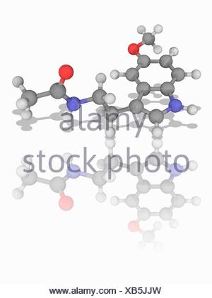 Melatonin hormone, molecular model. Melatonin plays a role in Stock ...