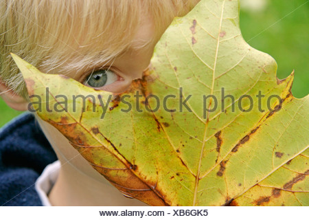 Little child is hiding something behind her back Stock Photo - Alamy