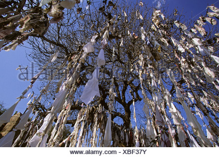 White cloths or handkerchiefs tied in ribbons and hanging from trees ...