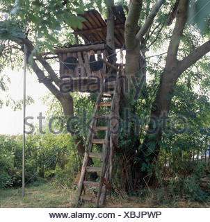Wooden ladder up to rustic tree-house in large tree in country garden ...