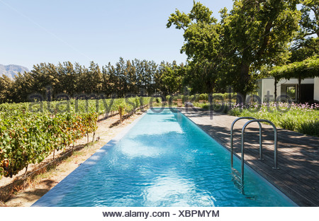 Luxury lap pool among garden and vineyard Stock Photo - Alamy