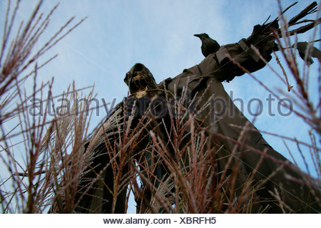 Scarecrow, bird scarer Stock Photo: 89539682 - Alamy