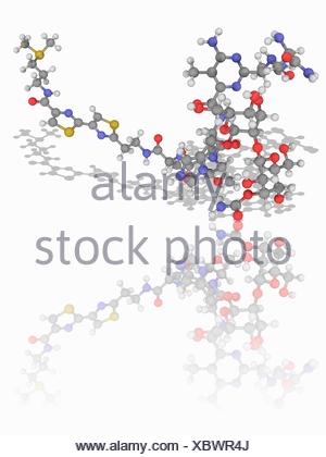 Bleomycin antibiotic bacterium Streptomyces verticillus treatment of ...