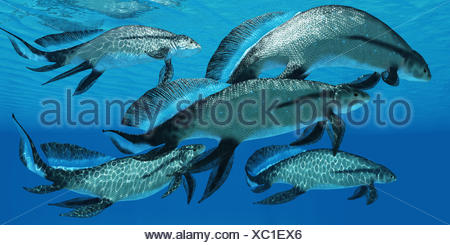 Scaumenacia Fish - Scaumenacia was a primitive jawless fish that lived ...