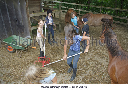 girls mucking out a horse stable Stock Photo: 22761364 - Alamy