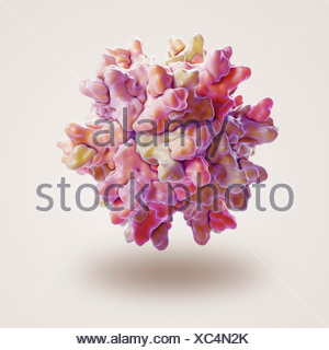 Structure Infectious Bursal Disease Virus (IBDV) (PDB 2GSY). IBD is ...