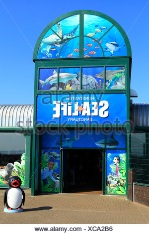 Hunstanton, Norfolk, Sea Life Sanctuary, centre, Sealife, England UK ...