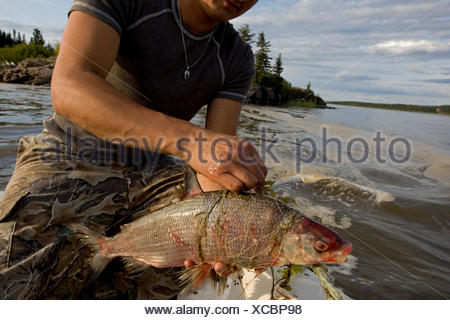 Fisherman Robert Grandjambe, 24, fishing on Lake Athabasca near Fort ...
