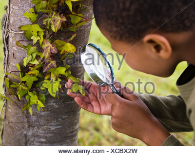boy investigating nature Stock Photo - Alamy