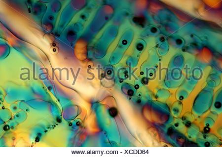 Ice crystals under the microscope Stock Photo - Alamy