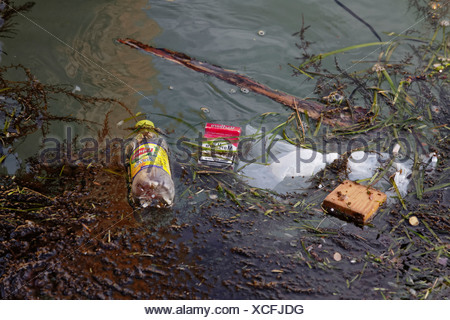 Garbage in the water, pollution, Venice, Venetia, Italy, Europe Stock ...
