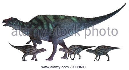 Maiasaura was a duck-billed herbivorous dinosaur that lived in Stock ...