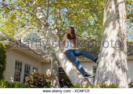 Teenage girl sitting in tree, looking away Stock Photo: 59057562 - Alamy