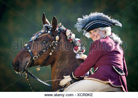 Bay Lipizzan horse Maestoso with rider in baroque costume performing ...