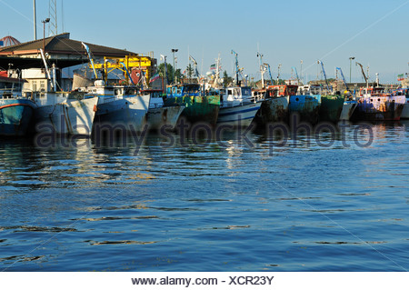 Fishing boats in the harbour of Bandar-e Anzali, Caspian Sea, Gilan ...