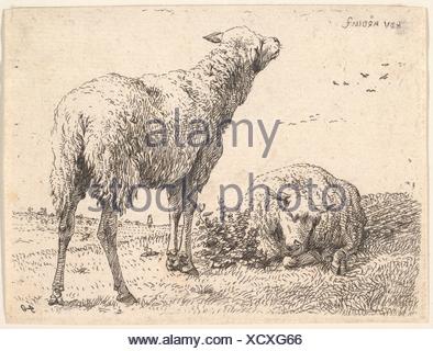 Seven sheep standing in a field of grass with a woodland backdrop Stock ...