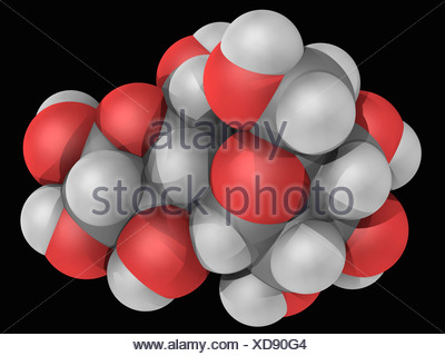Maltose. Molecular model of the disaccharide sugar maltose Stock Photo ...
