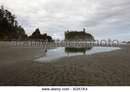 Ruby Beach Washington USA Stock Photo: 37919934 - Alamy