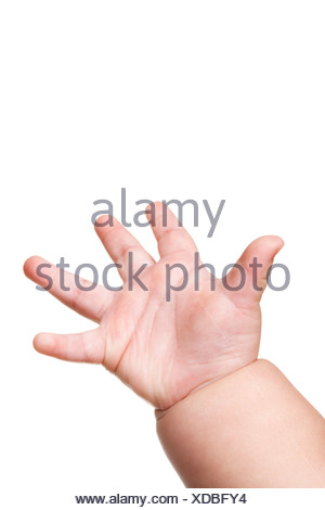 baby baby's hand reaching out white background close up soft skin open ...