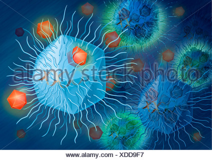 VIROPHAGE Stock Photo: 49300221 - Alamy