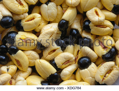 plant plants tree trees ackee ackees akee akees achee achees evergreen ...