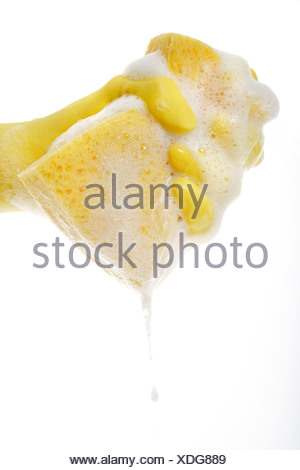 Hand wringing out sponge, close up Stock Photo: 19515069 - Alamy