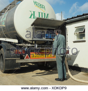 dairy lorry milk tanker farm farms farming cattle cow cows dairy Stock ...