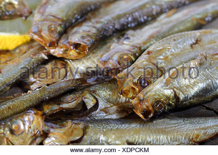 Kieler Sprotten or Kiel Sprats, smoked sprat, Eckernfoerde Stock Photo ...