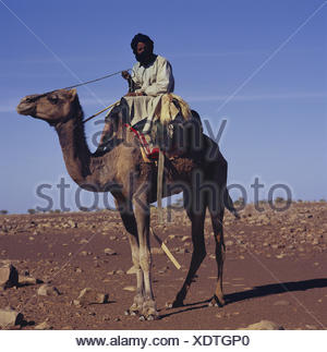 Mauritania, region Adrar, close Atar, stone desert, Africa, West Stock ...
