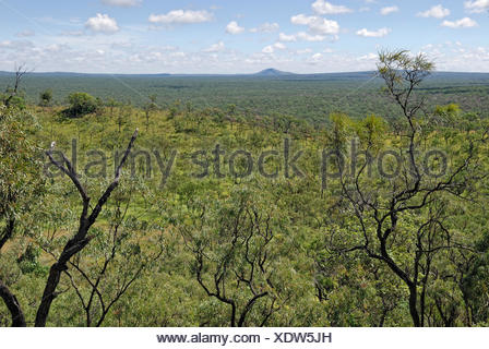 View into the Undara Volcanic National Park, Queensland, Australia ...