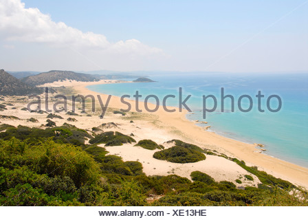 The Golden Beach, Karpaz peninsula, North Cyprus Stock Photo: 11199707 ...