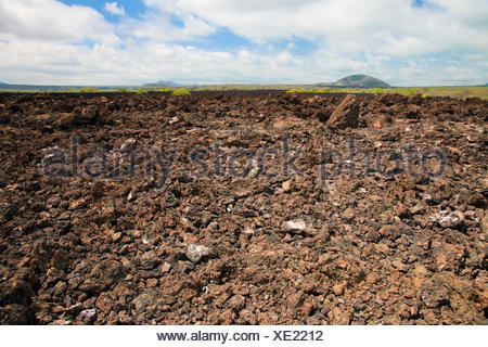 Basalt rocks. Tsavo West, Kenya, Africa Stock Photo: 103240562 - Alamy