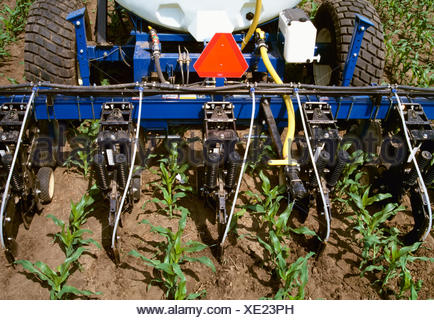 Agriculture - Chemical application, side-dressing early growth corn ...