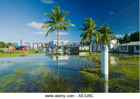 Funafuti island, Tuvalu flooded by sea water coming up through the ...