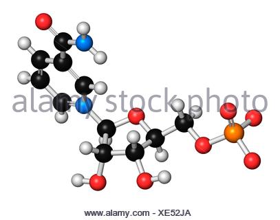 Nicotinamide mononucleotide molecule. Precursor of NAD+. 3D Stock Photo ...