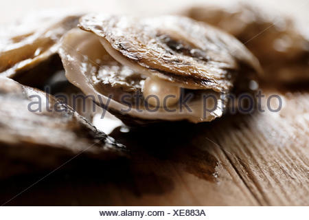 Pearl inside oyster shell Stock Photo - Alamy